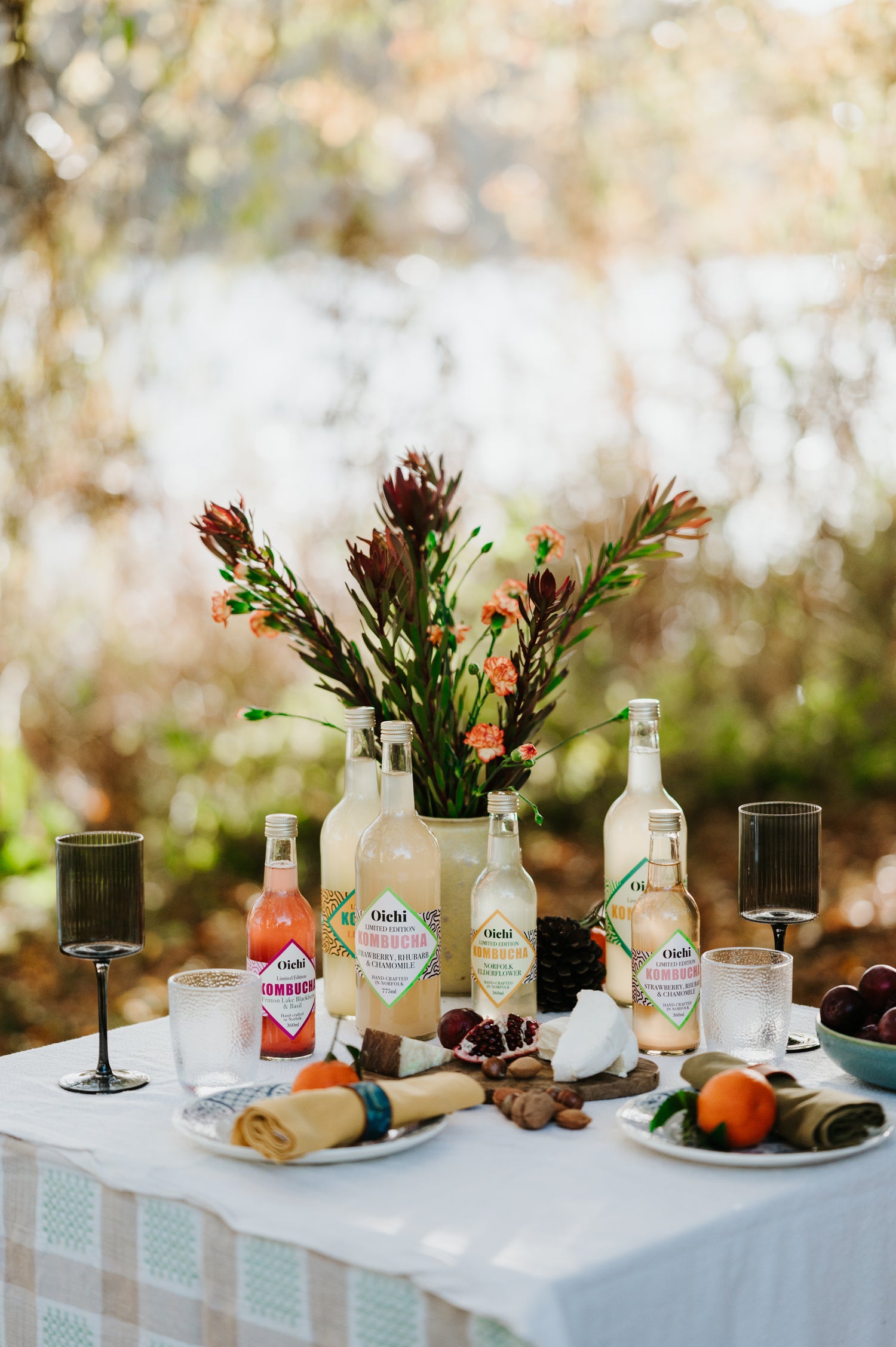 Oichi Authentic Artisan Kombucha – Oichi Ferments